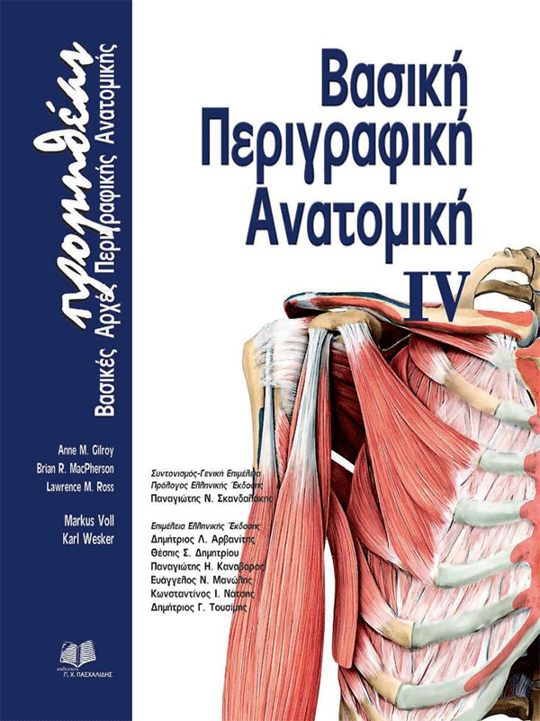 Βασική Περιγραφική Ανατομική Προμηθέας: "Βασικές Αρχές Περιγραφικής ...