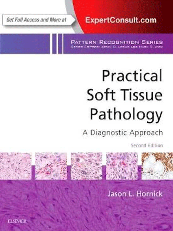 Practical Soft Tissue Pathology-A Diagnostic Approach: A Volume in the Pattern Recognition ...
