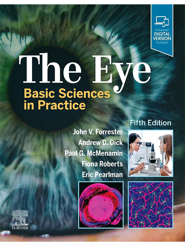 The Eye: Basic Sciences in Practice, 5th Edition | Vasiliadis Medical Books